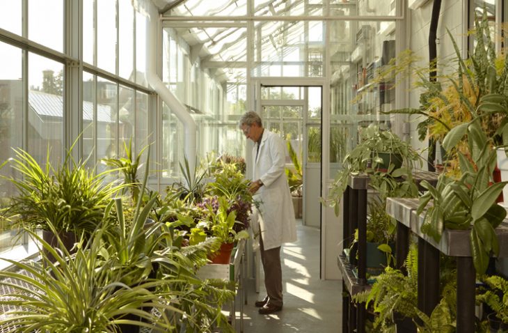 New Science Laboratory - IMEG